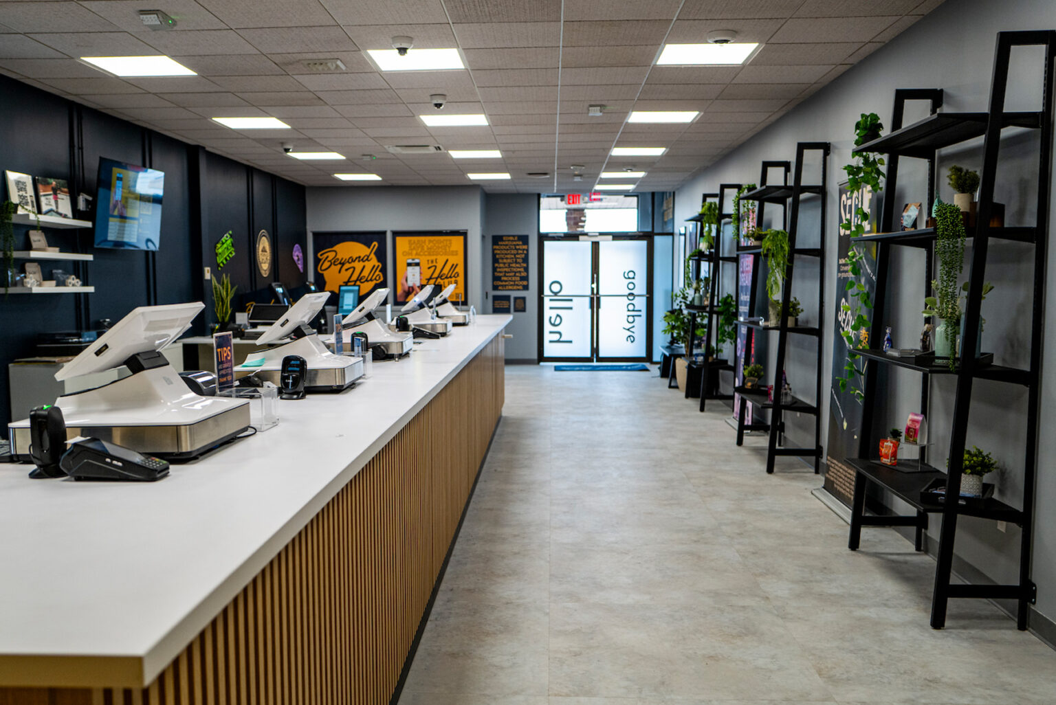 Parma, OH Cannabis Dispensary - Beyond Hello